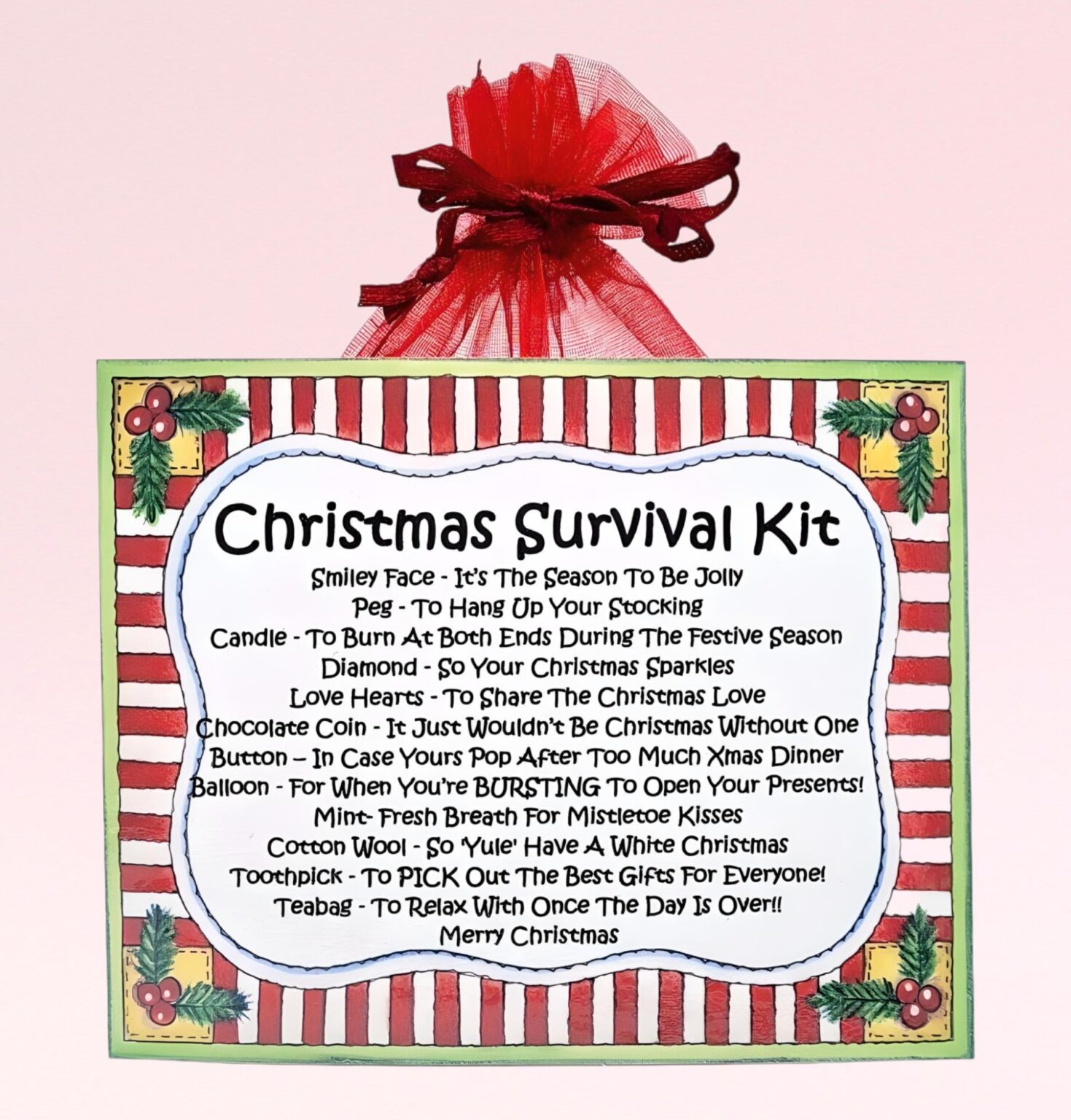 Christmas Survival Kit ~ Fun Novelty Gift to Help Survive Christmas ...